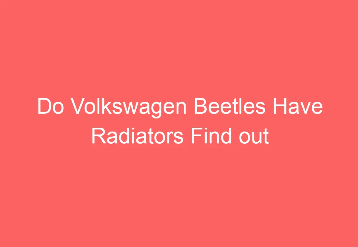 Do Volkswagen Beetles Have Radiators Find Out - VolkswagenBuddy